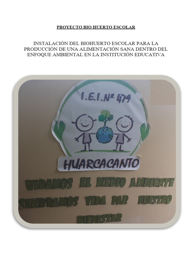 Proyecto Biohuerto Escolar Inicial Huarcacanto Espinar 2019 | PDF ...