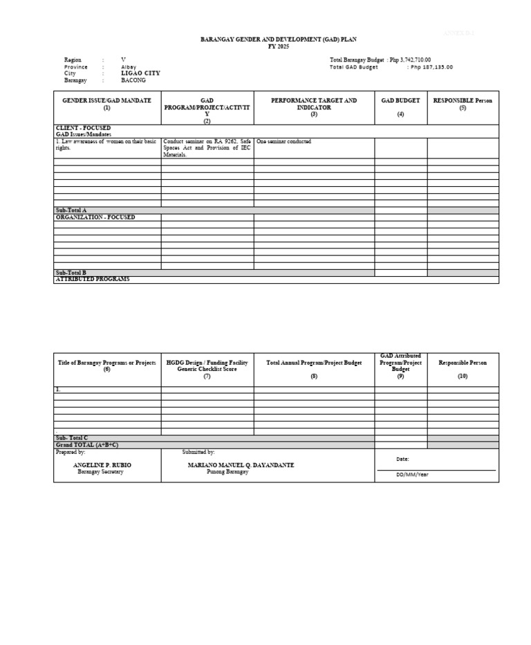 Gad Plan And Budget Template Pdf