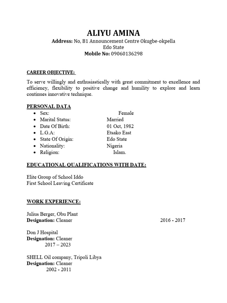 Amina Aliyu: Cleaner CV and Profile | PDF