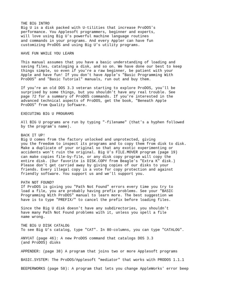 Bigu Doc | PDF | Floppy Disk | Computer File