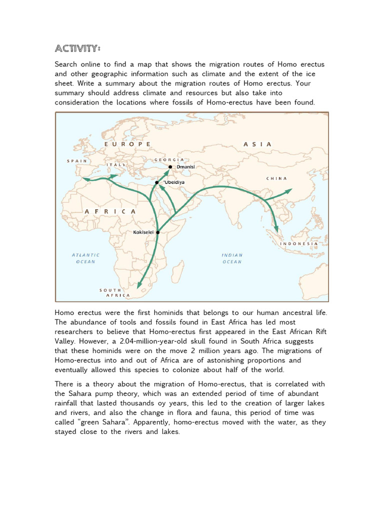 Migration Routes of Homo Erectus | PDF