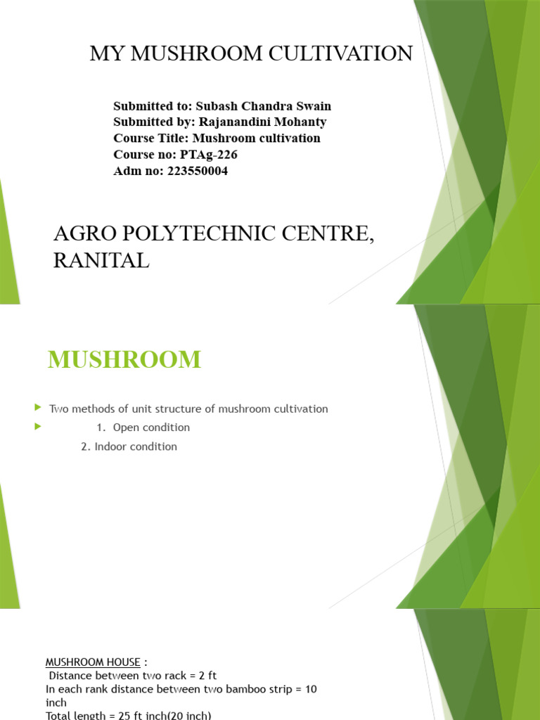 My Mushroom Cultivation | PDF | Mushroom | Mycology