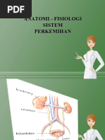 Anatomi Ginjal | PDF