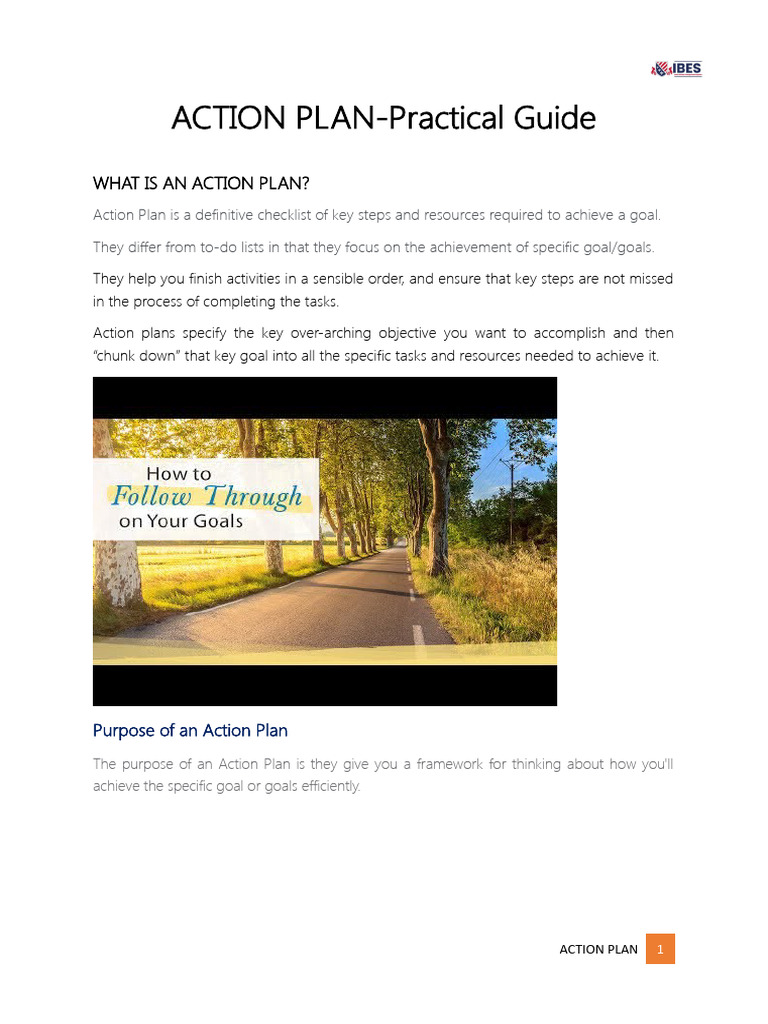 ACTION PLAN-Practical Guide | PDF | Performance Indicator | Goal
