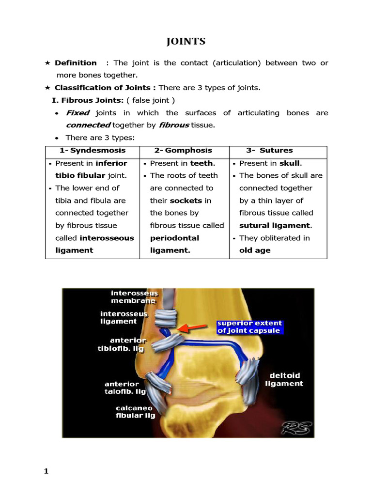 Introduction of Anatomy - Part 2 | PDF | Anatomical Terms Of Motion | Elbow