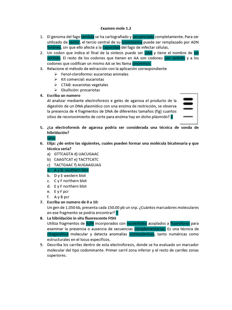 Pruebas1 Merged | PDF | Hibridación de ácido nucleico | Adn Pruebas1 Merged | PDF | Hibridación de ácido nucleico | Adn