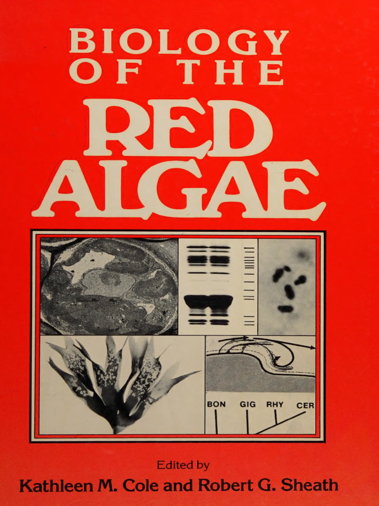 Red Algae Cole | PDF | Algae | Chloroplast
