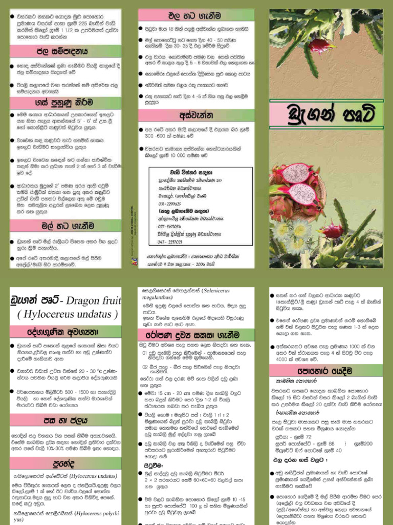 Dragon Si Leaflet 10 | PDF