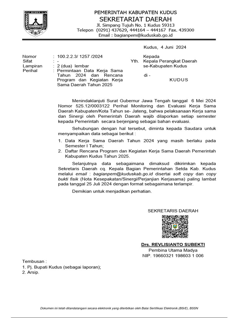 OPD - Permintaan Laporan Pelaksanaan KSD 2024 Dan Rencana 2025 | PDF