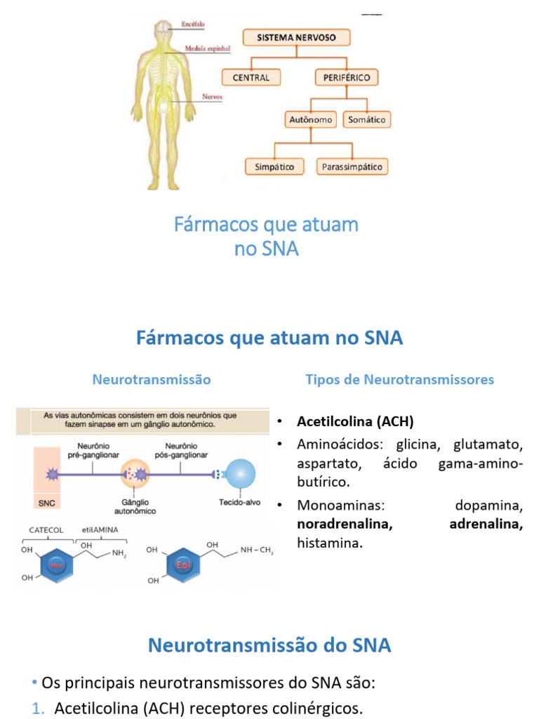 Farmacologia Do Sistema Nervoso Autônomo (SNA) | PDF | Sistema nervoso autónomo | Neurotransmissor