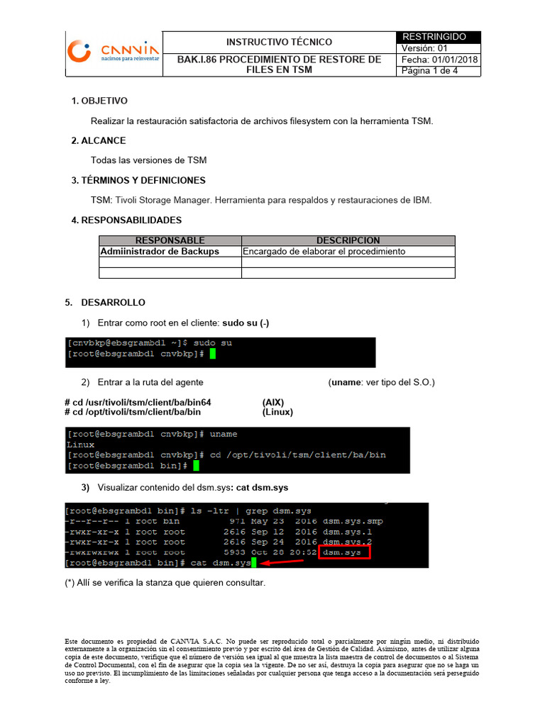 BAK.I.86 Procedimiento de Restore de Files en TSM - V2 | PDF | Apoyo | Software del sistema