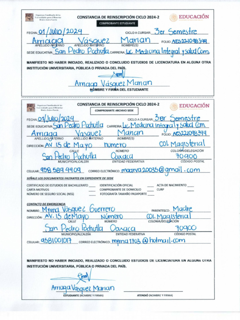 201 Grupo B Concentrado de Formato Reeinscripcion | PDF | Gobierno y personalidad