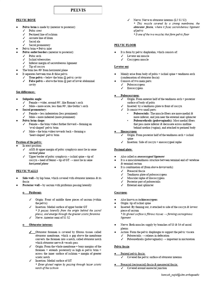 LAST'S Anatomy Simplified 04 - Pelvic Bone & Cavity | PDF | Pelvis ...