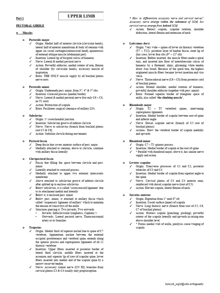 LAST'S Anatomy Simplified 02 - Upper Limb | PDF | Arm | Elbow