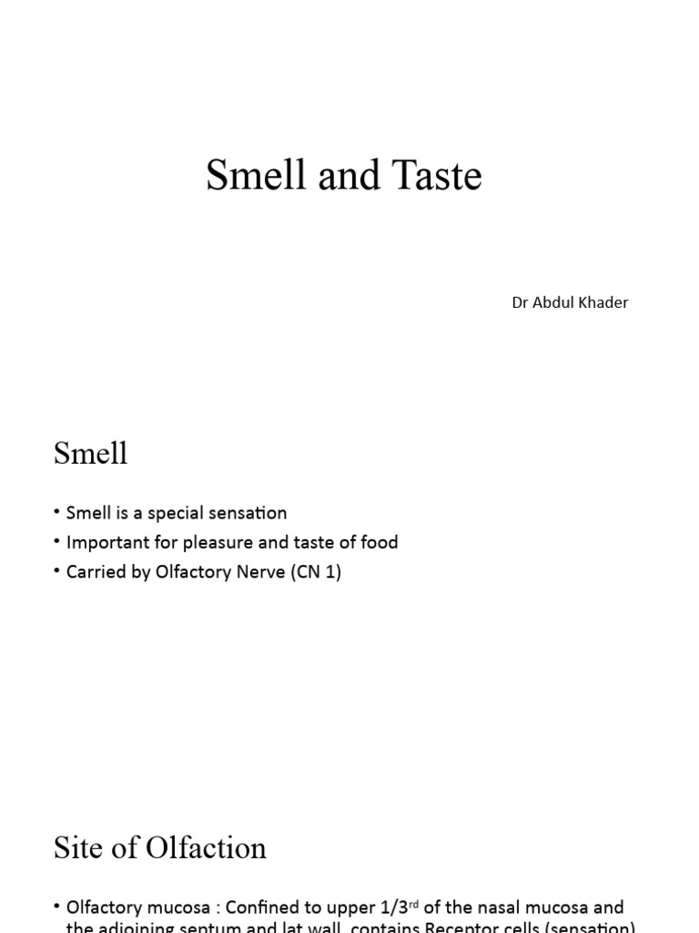 Smell and Taste | PDF | Taste | Senses