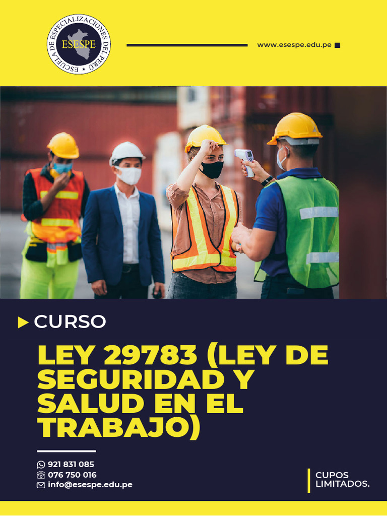 Curso LEY 29783 Ley de Seguridad y Salud en El Trabajo | PDF