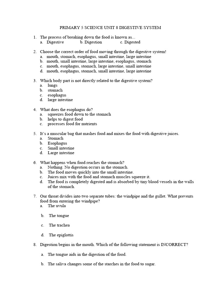 Primary 5 Science: Digestive System Quiz | PDF | Digestion ...