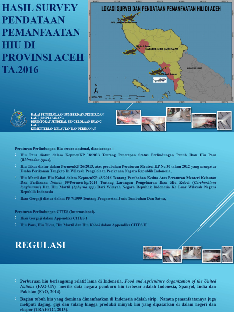 Hasil Survey Pendataan Pemanfaatan Hiu Di Provinsi Aceh | PDF