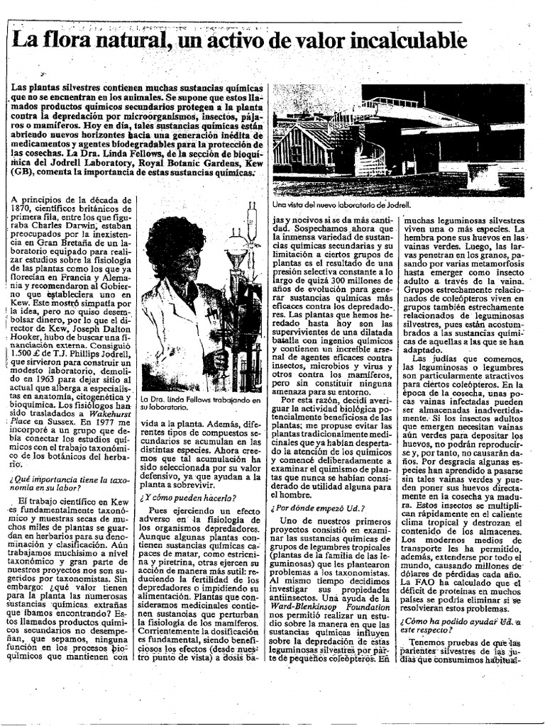 Segundo Documento | PDF