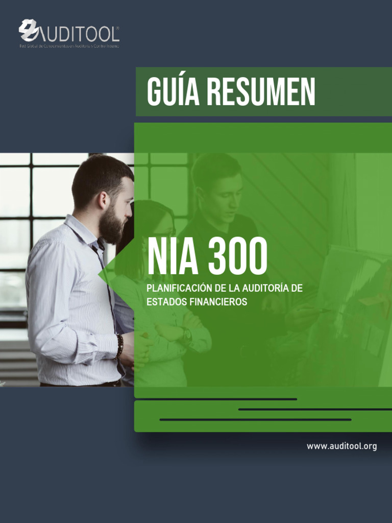 NIA 300 - Planificación de La Auditoría de Estados Financieros | PDF ...