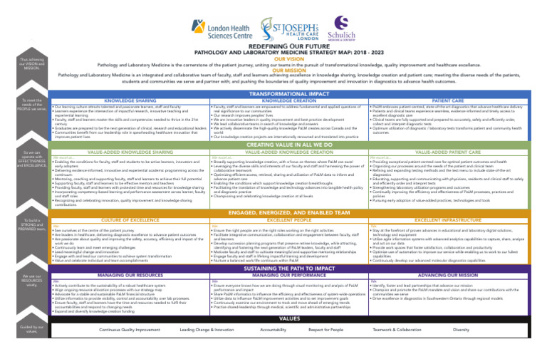 PaLM Strategy Map | PDF | Health Care | Mentorship