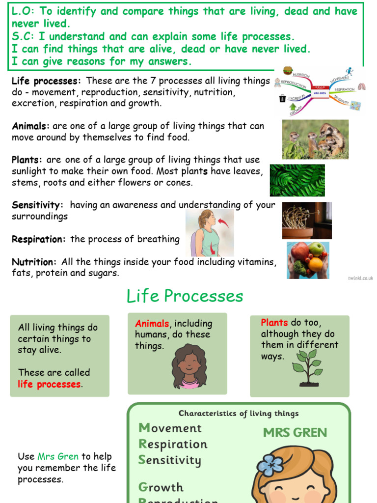 Science Week 2 Life Processes | PDF | Foods | Plants