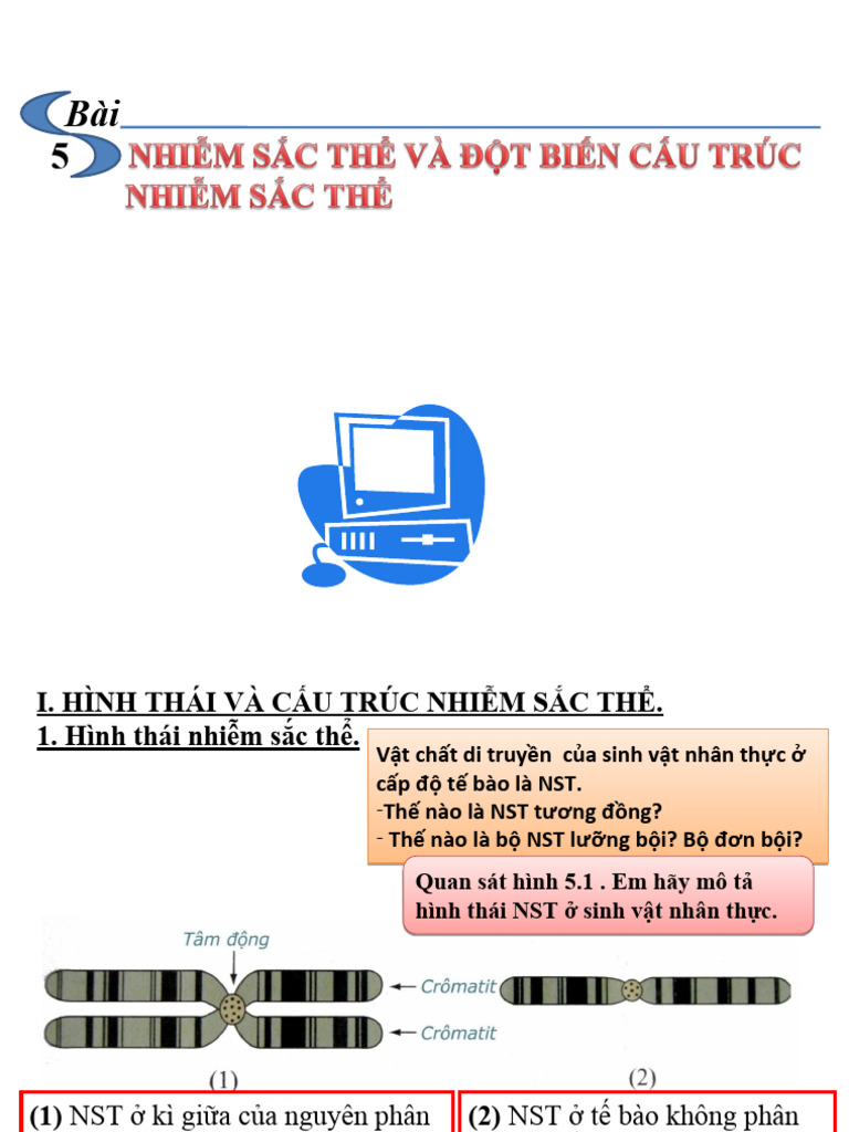 Tiet 05. Nhiem Sac The Va Dot Bien Cau Truc NST | PDF