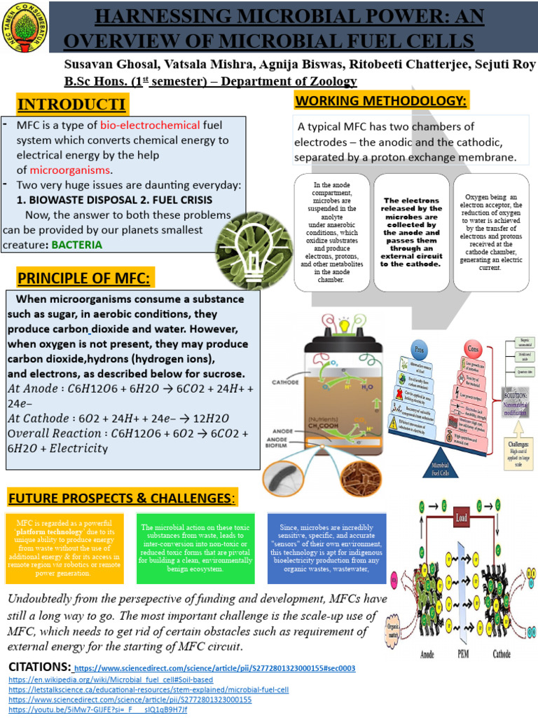 Microbial Fuel Cells | PDF | Biology | Electrochemistry