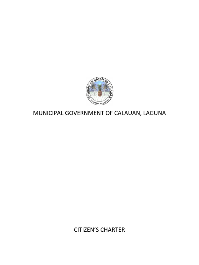 Reference B - Citizen s Charter Editable Template (3) | PDF | Birth ...