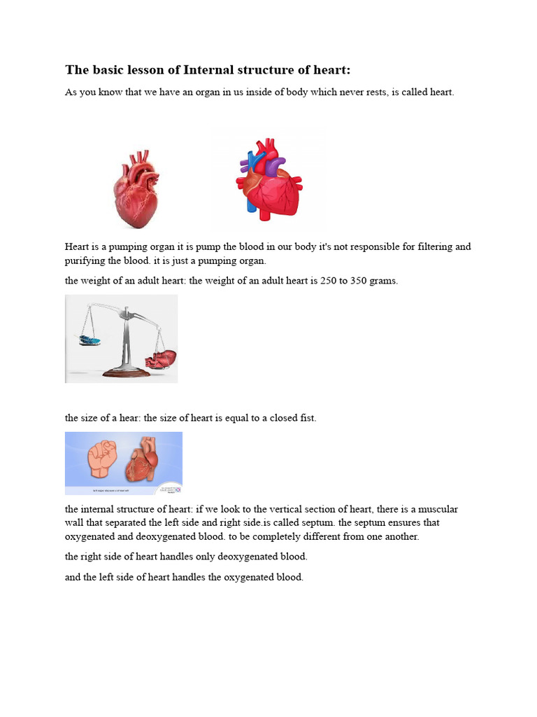 Heart class 1 | PDF