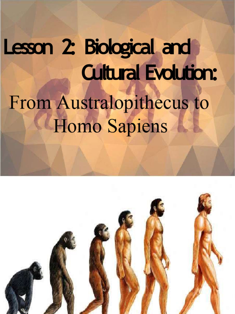 Lesson 2 Biological And Cultural Evolution Pdf Homo Paleoanthropology