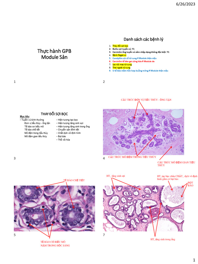 Thực Hành GPB - Thư | PDF