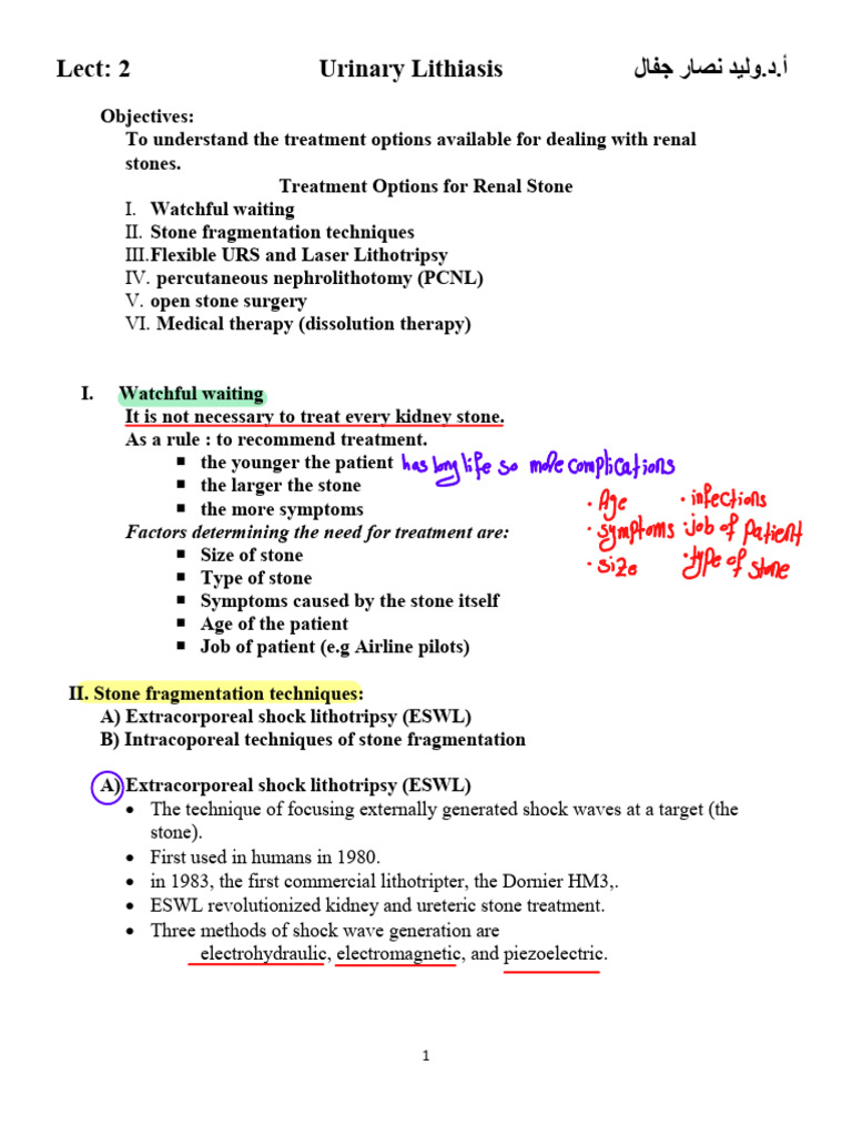l2 Lithiasis | PDF | Medical Specialties | Clinical Medicine
