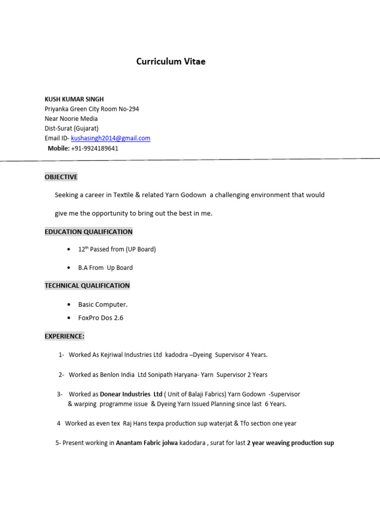 Resume of Kush-1-1 | PDF