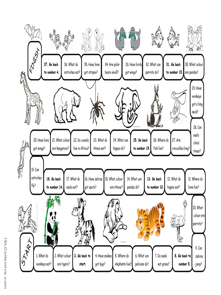 Animals - Board Game | PDF | Zoology