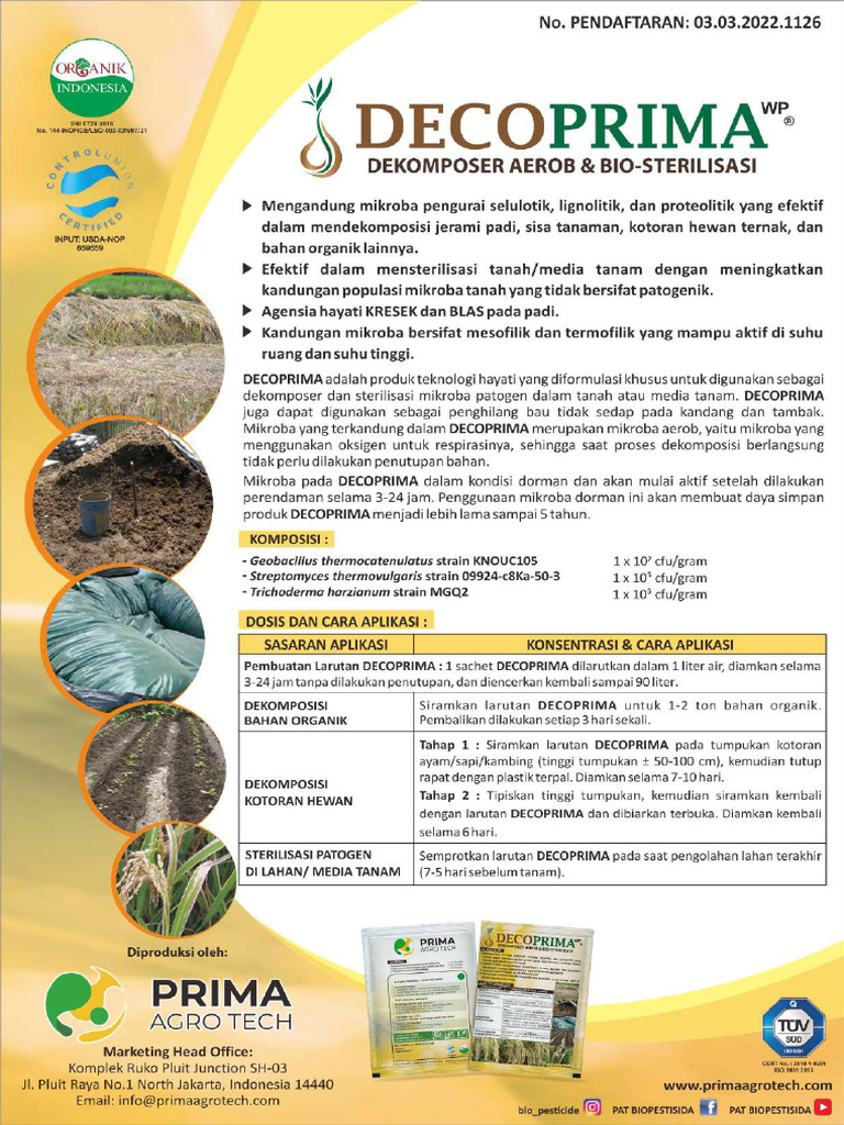 SOP Edufarmers Vegetables (Sawi) (1) | PDF