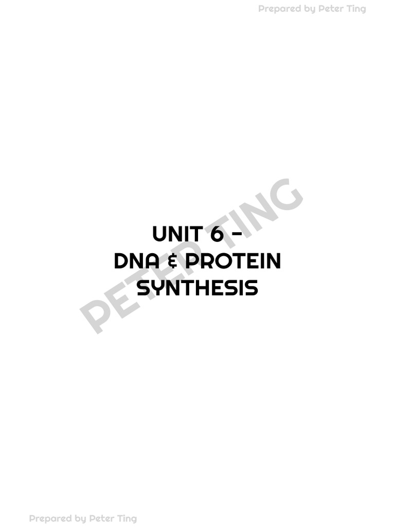 Unit 6 - DNA _ Protein Synthesis (S) | Download Free PDF | Translation ...