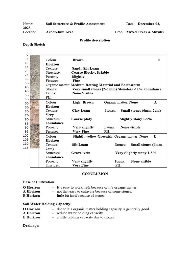 Soil Structure Assessment for Mixed Trees | PDF | Horticulture ...