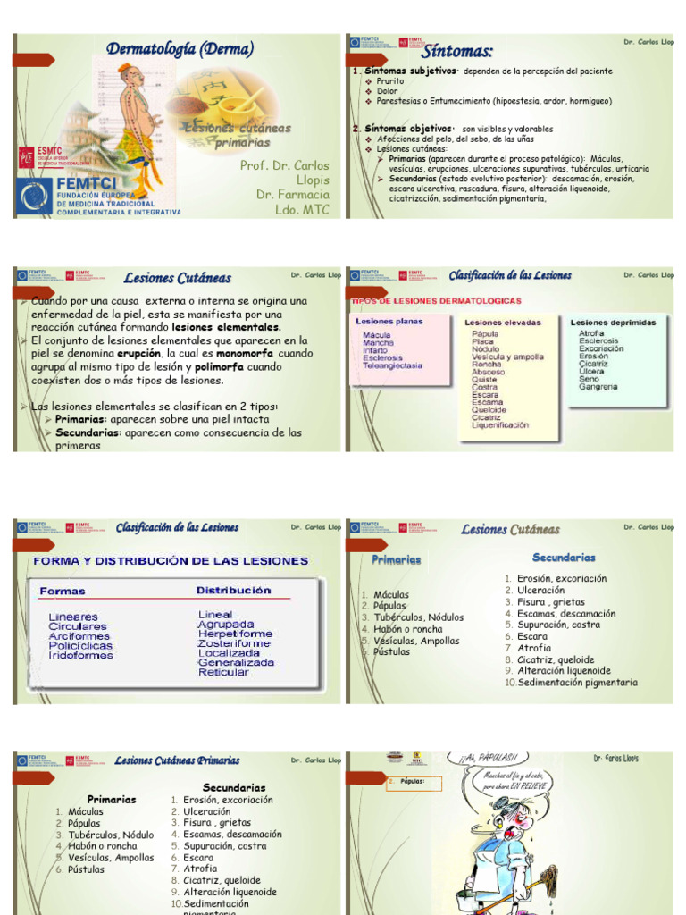 Tutoria 2 Derma 2023 Lesiones Cutaneas Primarias (Papulas-Pustulas ...
