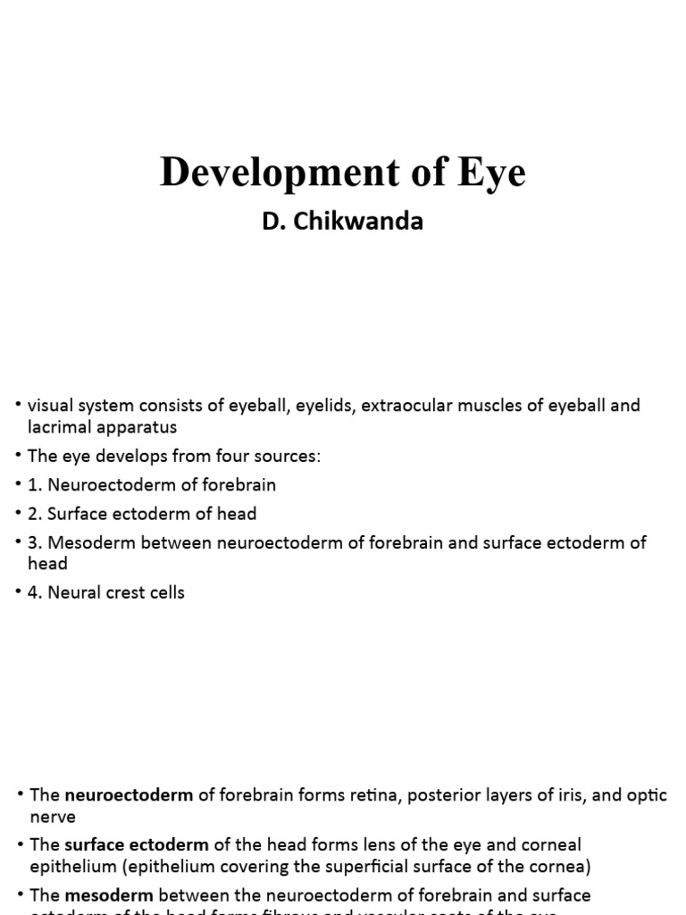 Development of Eye | PDF | Retina | Epithelium