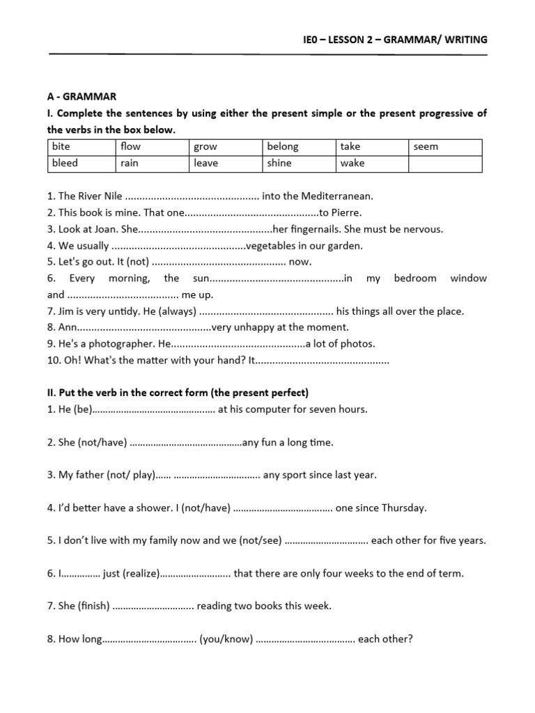 Lesson 2-Grammar | PDF