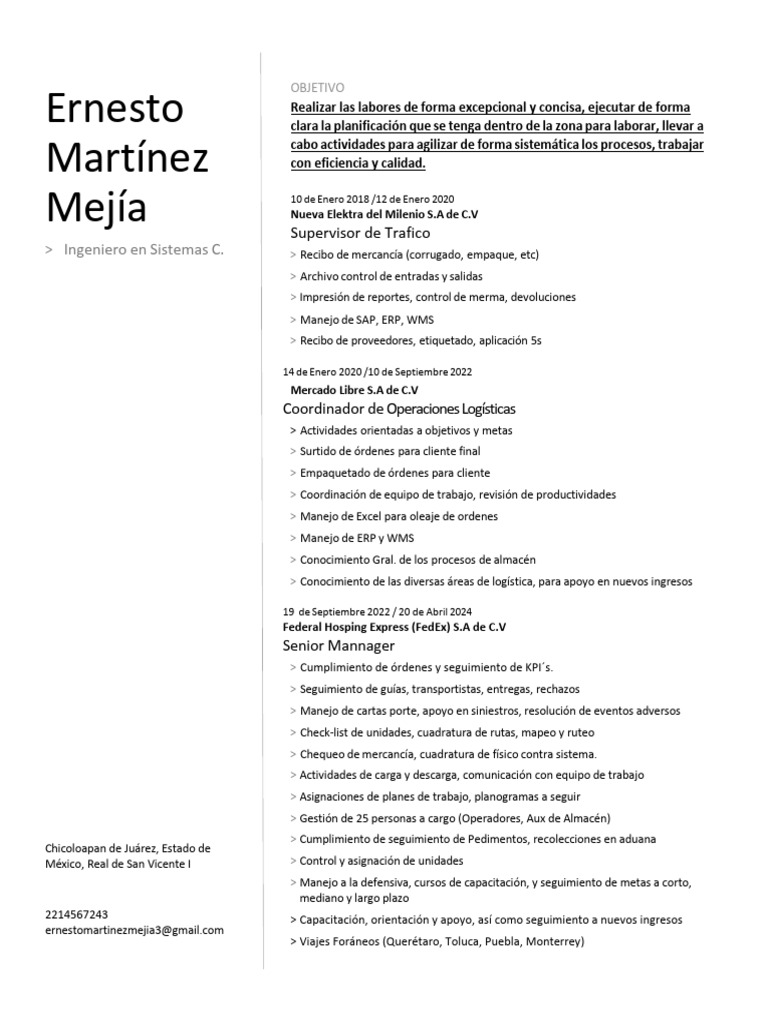 CV Ernesto Imprimir Siempre | PDF | Planificación de recursos empresariales | Informática