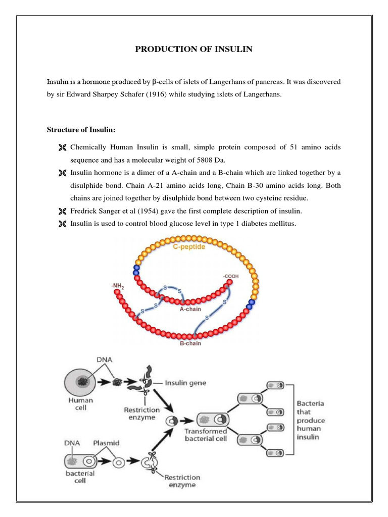 Production of Insulin | PDF | Insulin | Dna