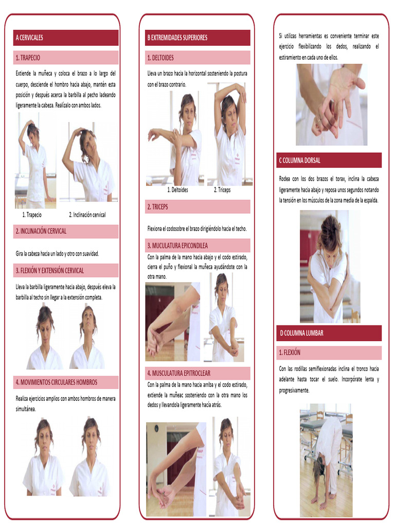 TR Ptico | PDF | La columna vertebral | Mano