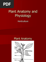 Plant Structure and Function Lab Guide | PDF | Flowers | Plants