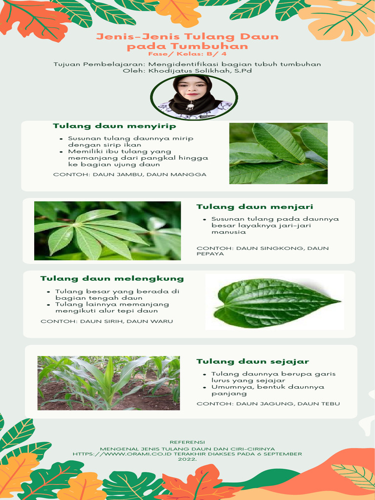 Jenis-Jenis Tulang Daun Pada Tumbuhan | PDF