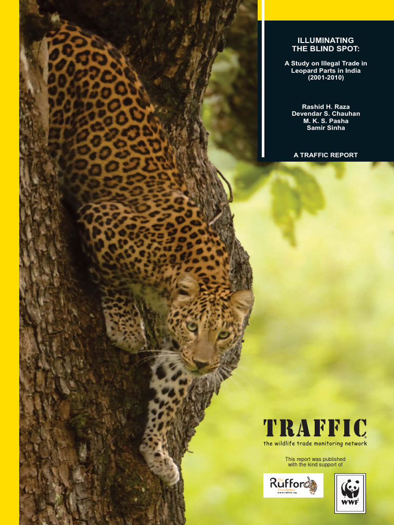 Leopard Trade India TRAFFIC | PDF | Leopard | Tiger