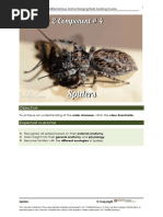 Class 5-Science Notes-The Nervous System | PDF | Brain | Nerve