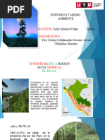 Bosque Tropical Del Pacífico (Tumbes) | PDF | Los bosques | Arboles