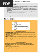 Chapter 7 Control and Coordination Handwritten Notes | PDF